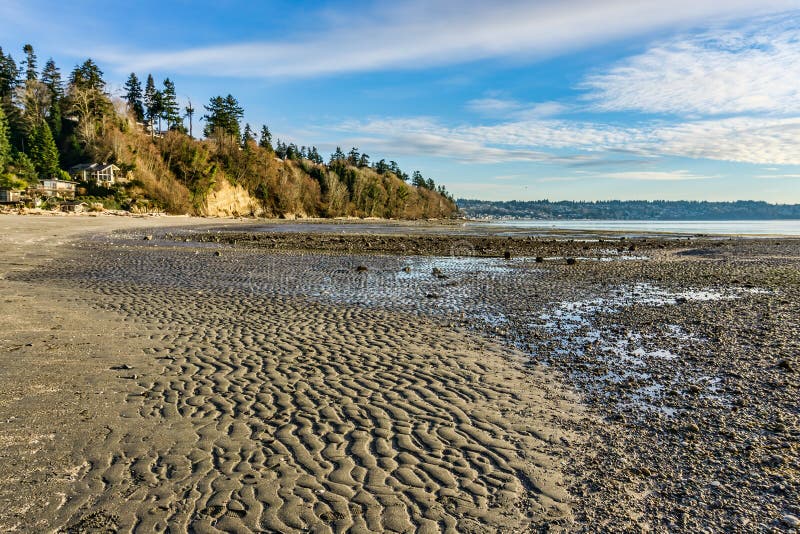 Northwest Sandy Shoreline 7 Stock Image - Image of park, sandy: 242950219