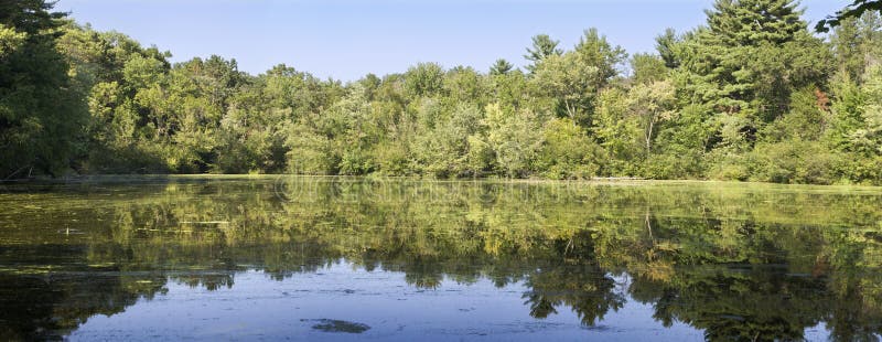 Northwoods on the water stock image. Image of northwoods - 6494427