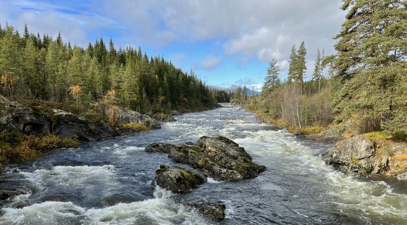 Roaring White Water Running Down the River in Autumn in Norway Stock ...