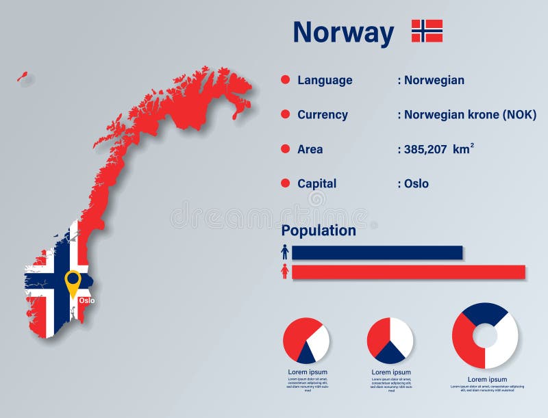 Norway Infographic stock vector. Illustration of background - 312482382
