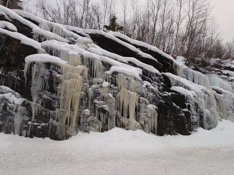 Norway mountain cold trees stock image. Image of tree - 272782547
