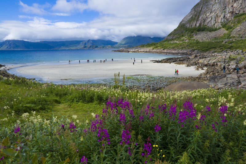 Norway stock image. Image of norge, stone, sand, rorvika - 258778853