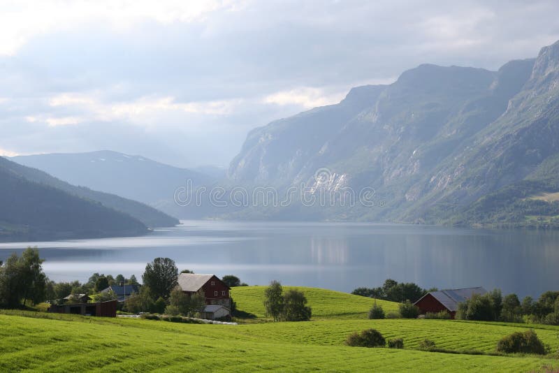 Norwegian landscape stock photo. Image of landscape, field - 12226178