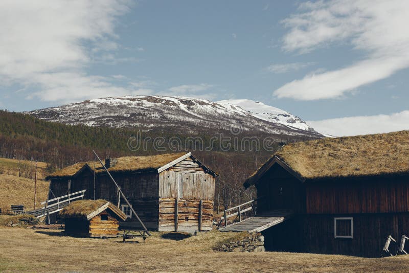 Norwegian Landscapes with Snow and Trees Stock Image - Image of ...