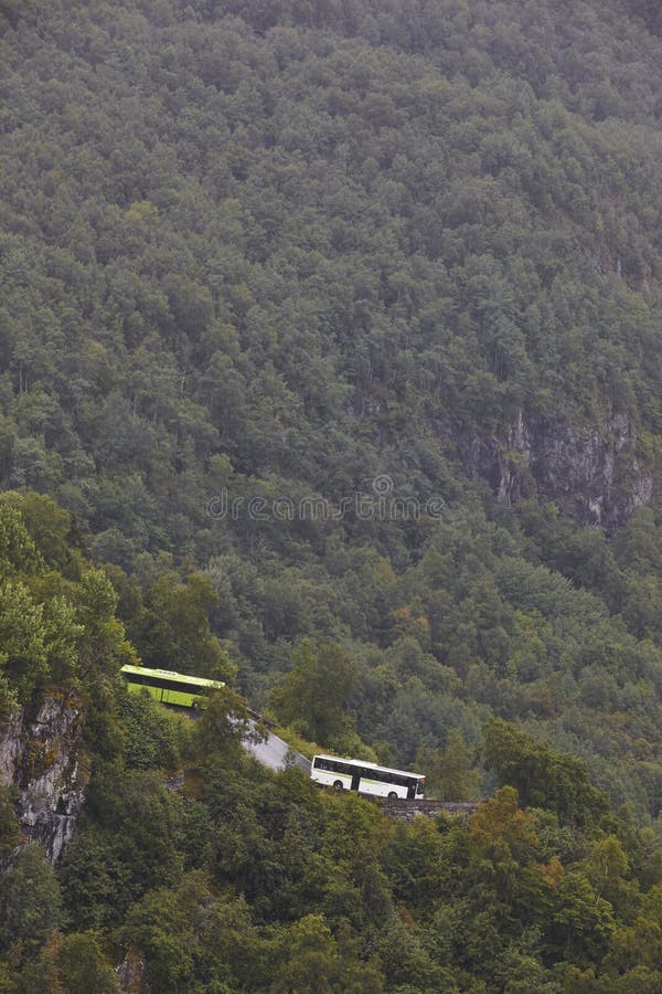 Norwegian Mountain Road with Buses. Stalheim Viewpoint. Norway Stock ...