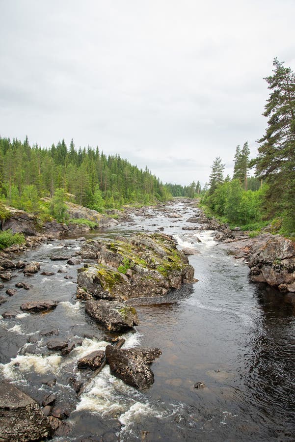 Norwegian River at the Small Waterfall Section Stock Photo - Image of ...