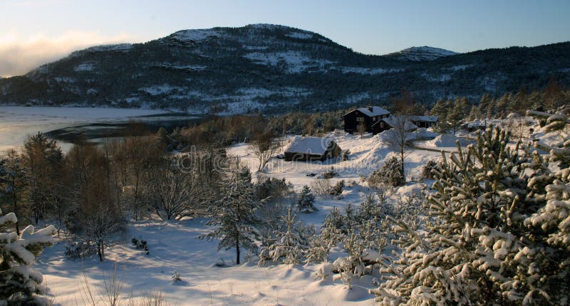 Norwegian Winter stock photo. Image of house, trees, forest - 12327226