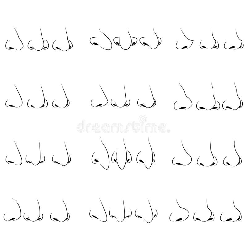 Cartoon Nose Profile Clip Art