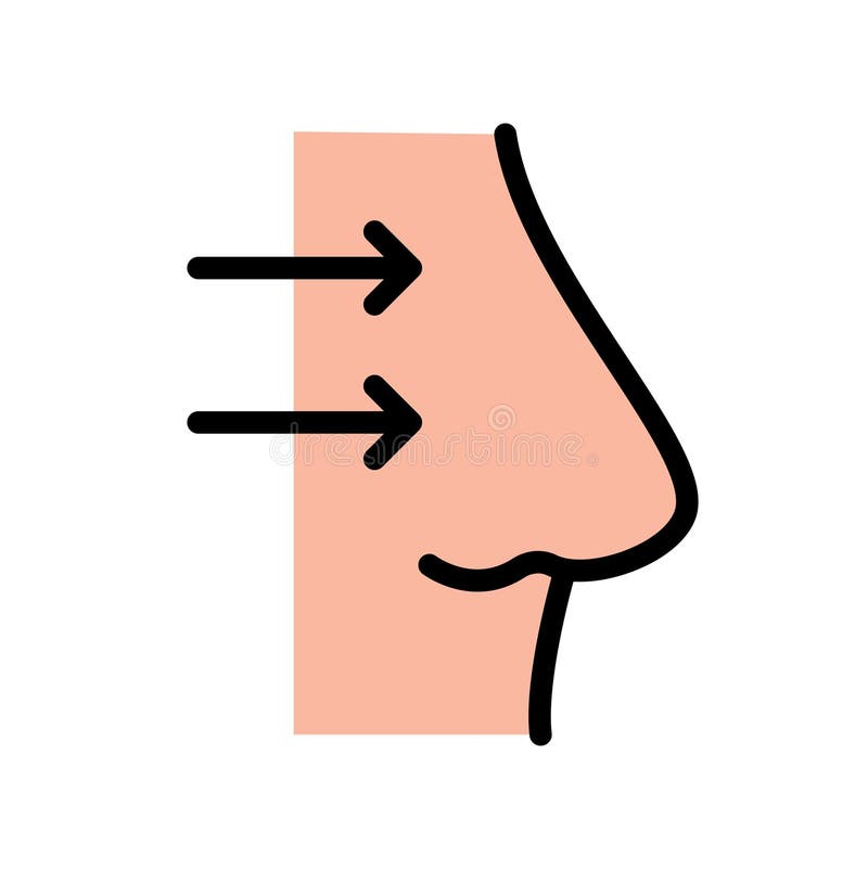 Nose Color Icon. Thin Line Illustration. Simple Flat Symbol. Vector ...