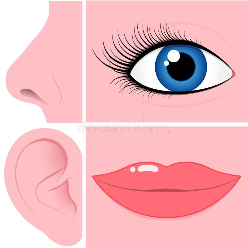 Nose, Eye, Ear and Mouth Collection Stock Vector - Illustration of ...