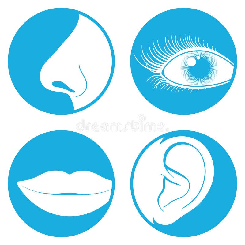 Nose Stock Illustrations – 363,854 Nose Stock Illustrations, Vectors ...