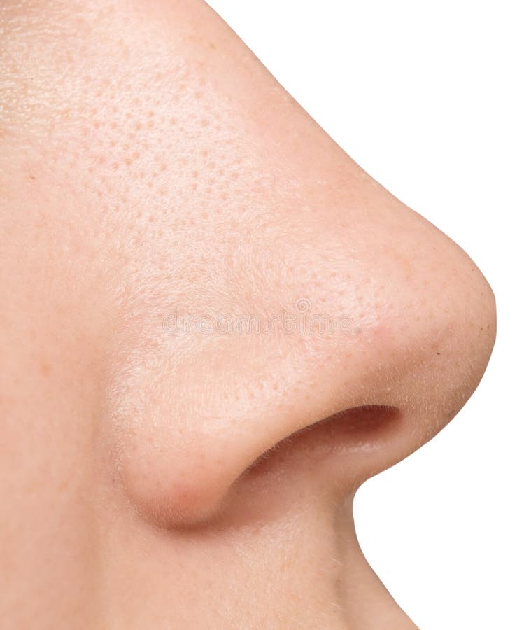 Nose isolated on white stock photo. Image of isolated - 102612546