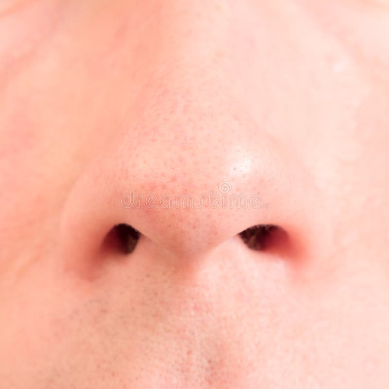 Human nose stock photo. Image of woman, macro, holes - 39827132