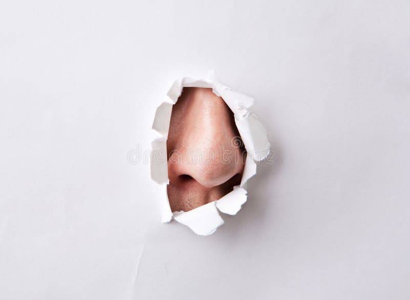 Nose peeping out stock photo. Image of closeup, breath - 31125032