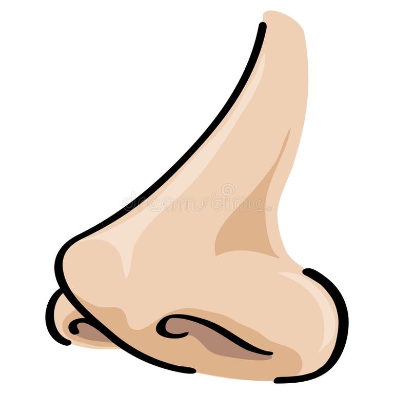 Nose Stock Illustrations – 593,301 Nose Stock Illustrations, Vectors ...