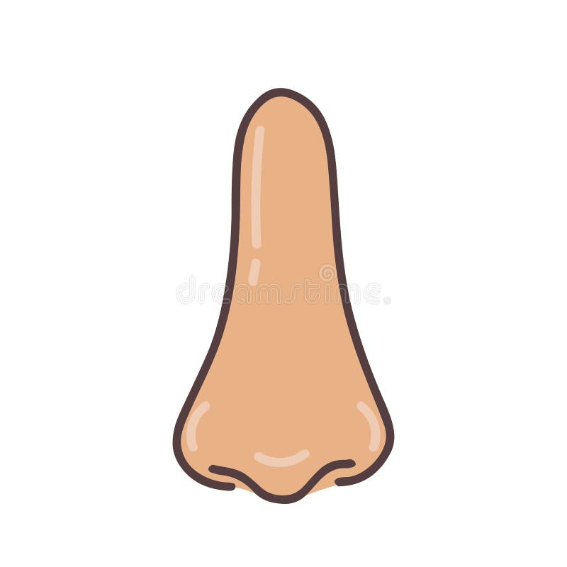 Nose Vector Illustration Isolated on White Flat. Stock Illustration ...