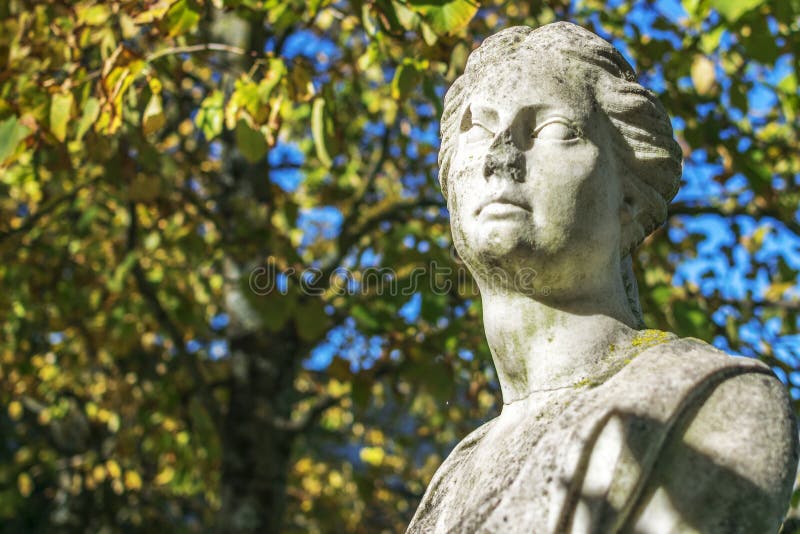 Female stone statue stock photo. Image of head, stone - 104116978
