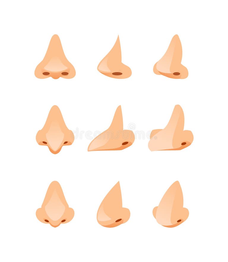 Noses Front Stock Illustrations – 204 Noses Front Stock Illustrations ...