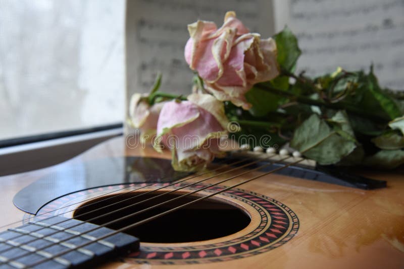 Guitar with Notes and Dry Rose Stock Image - Image of arranger, concert ...