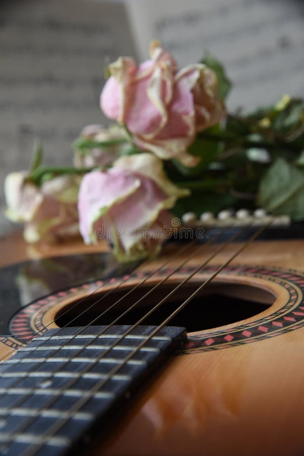 Guitar with Notes and Dry Rose Stock Image - Image of note, equipment ...