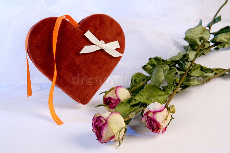 Nostalgic memories stock photo. Image of memories, bosom - 5290942