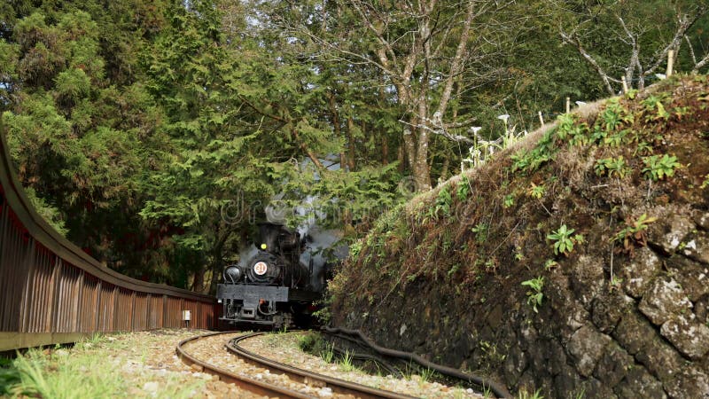 Nostalgic Steam Old Train Running in the Forest Stock Video - Video of ...