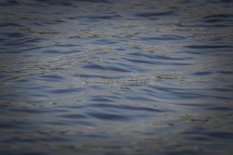 Not calm water on the lake stock image. Image of environment - 293923621