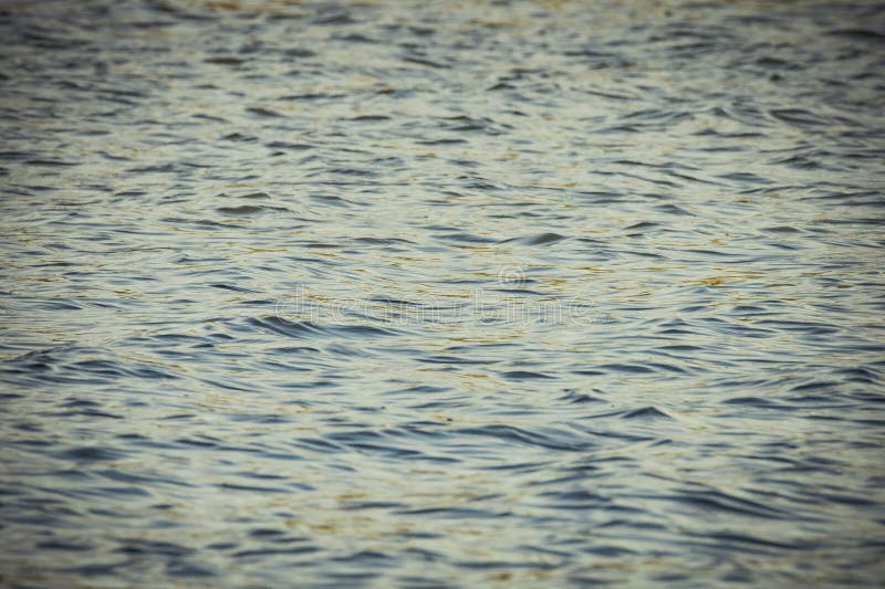 Not calm water on the lake stock photo. Image of blue - 294953100