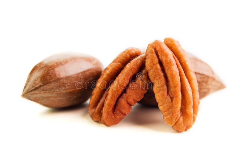 Not Cleaned Pecan Nuts in the Shell Isolated on White Stock Photo ...