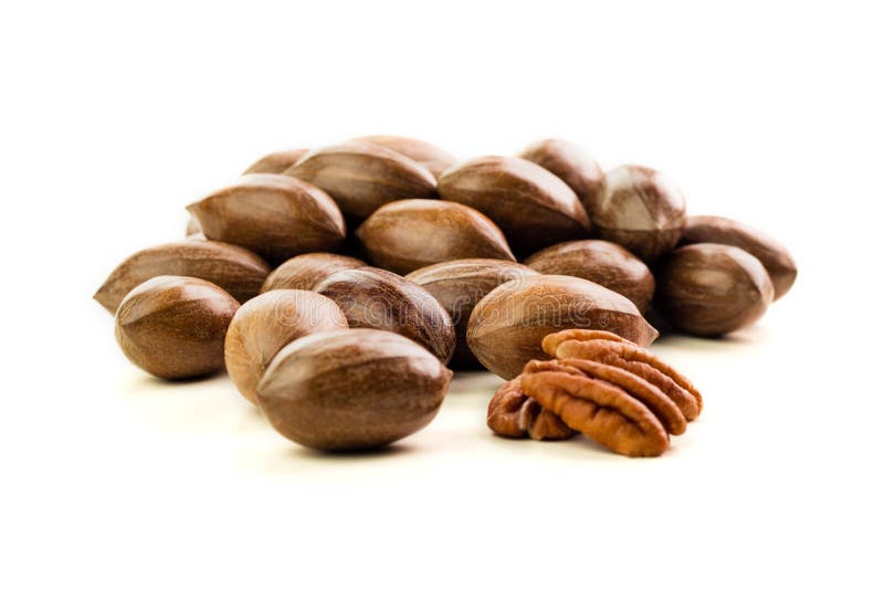Not Cleaned Pecan Nuts in the Shell Isolated on White Stock Photo ...
