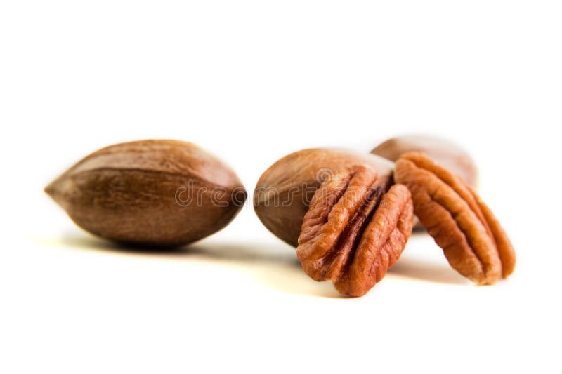 Not Cleaned Pecan Nuts in the Shell Isolated on White Stock Image ...