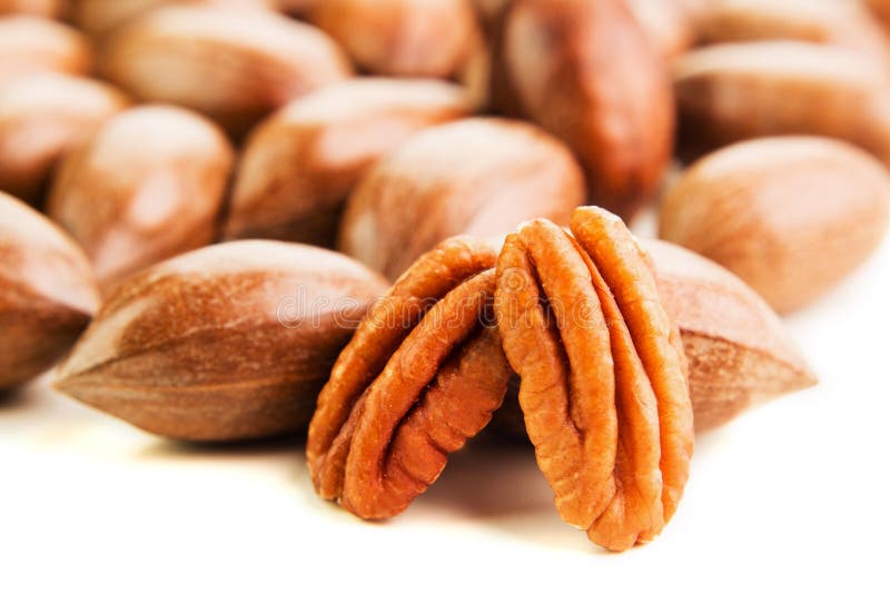 Not Cleaned Pecan Nuts in the Shell Isolated on White Stock Image ...