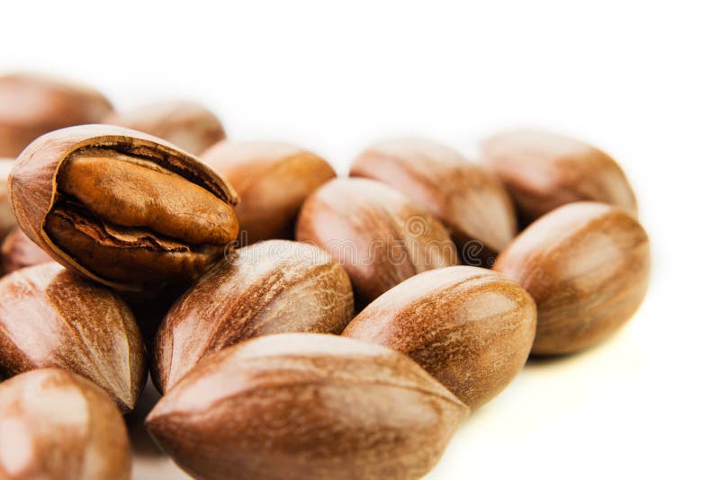 Not Cleaned Pecan Nuts in the Shell Isolated on White Stock Image ...