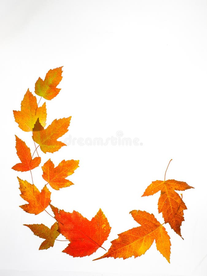 Not Closed Circle Border Frame of Colored Autumn Leaves Falling ...