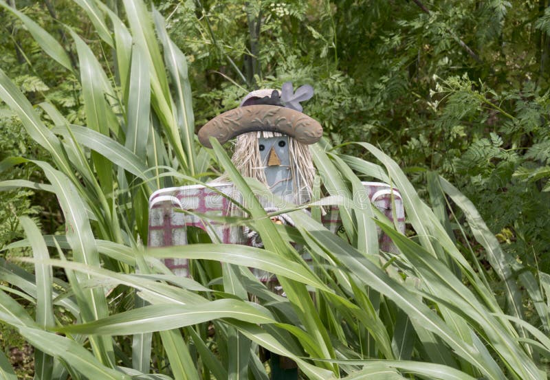 Effective Scarecrow Stock Photos - Free & Royalty-Free Stock Photos ...