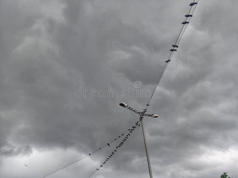 We are not flying stock image. Image of wind, series - 190330207