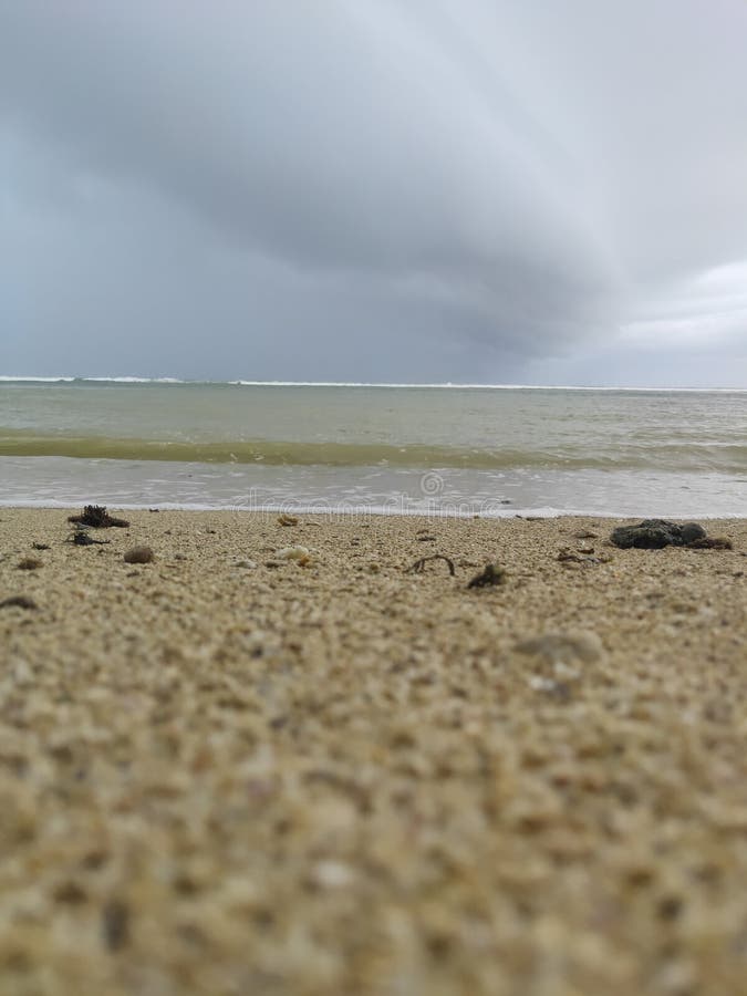 Not a Good Weather, but Still Good Creatures Stock Image - Image of ...