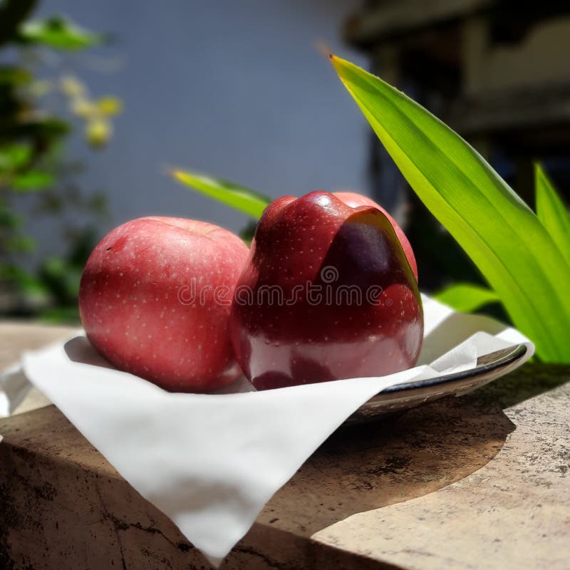 Not Just for Display. stock image. Image of display - 228728971