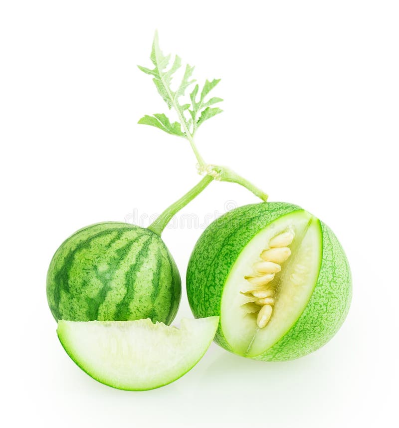 Not ripe watermelon stock photo. Image of food, melons - 33646764