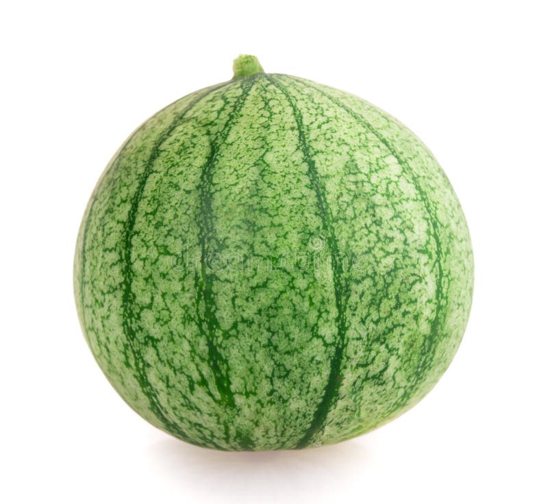 Not ripe watermelon stock photo. Image of food, melons - 33646764