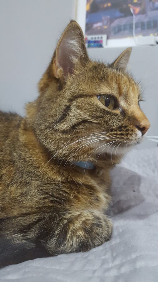 Slideface Stock Photos - Free & Royalty-Free Stock Photos from Dreamstime