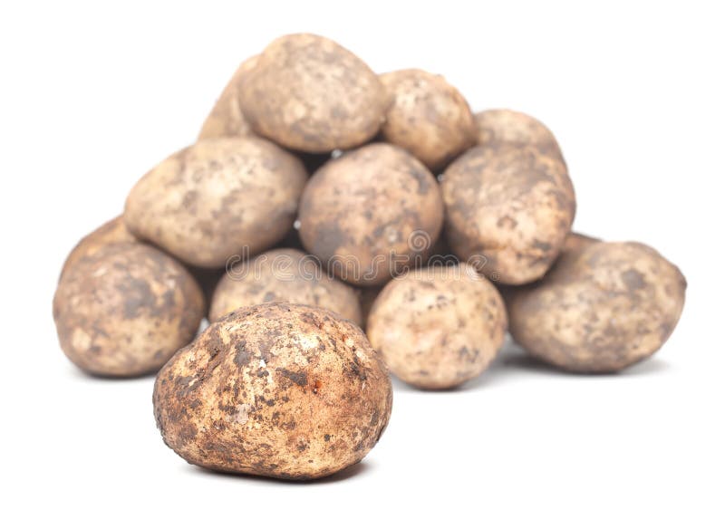 Not washed potatoes stock photo. Image of healthy, pile - 38636496