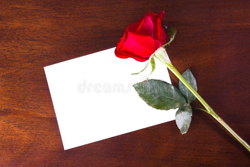 Nota de Rosa foto de stock. Imagem de floral, escreva - 9558220