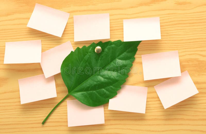 Note on a board stock photo. Image of green, plant, wood - 9174838