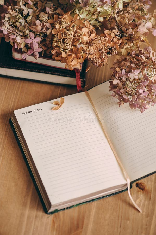 Note Book with Blank Pages and Dried Hydrangeas on Wooden Table Stock ...