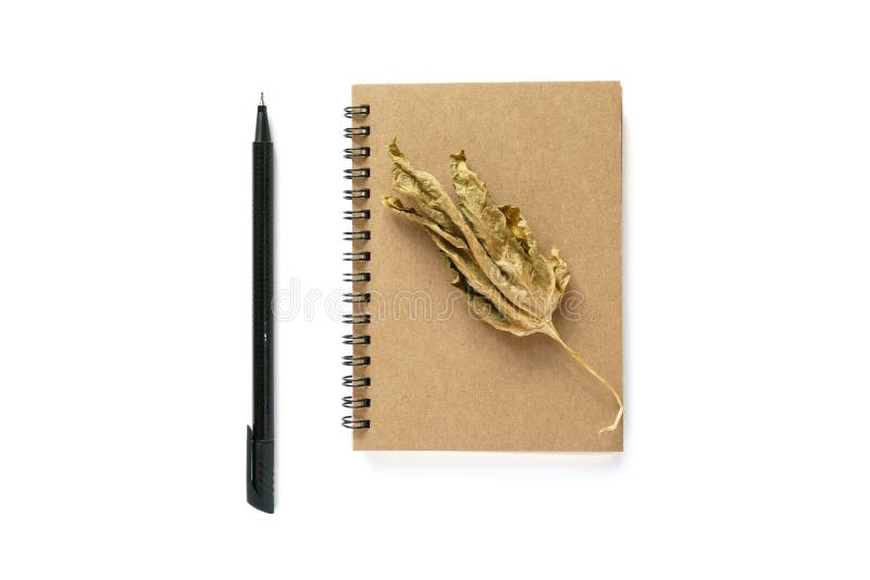 Note Book, Dry Leaf and a Pen Stock Image - Image of autumn, learning ...