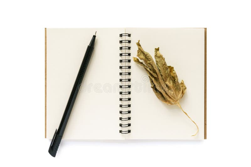 Plain Brown Note Book Cover Isolated on White Stock Image - Image of ...