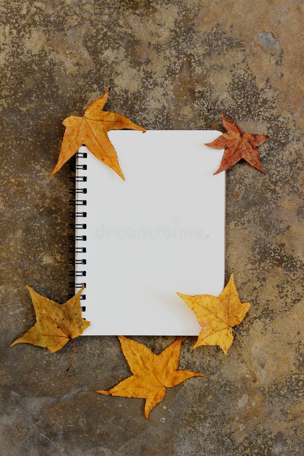 Note Book with Maple Leaves Stock Image - Image of white, natural: 62963811