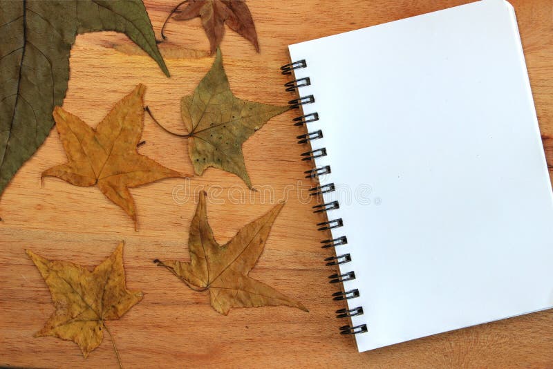 Note Book with Maple Leaves Stock Photo - Image of beautiful, still ...