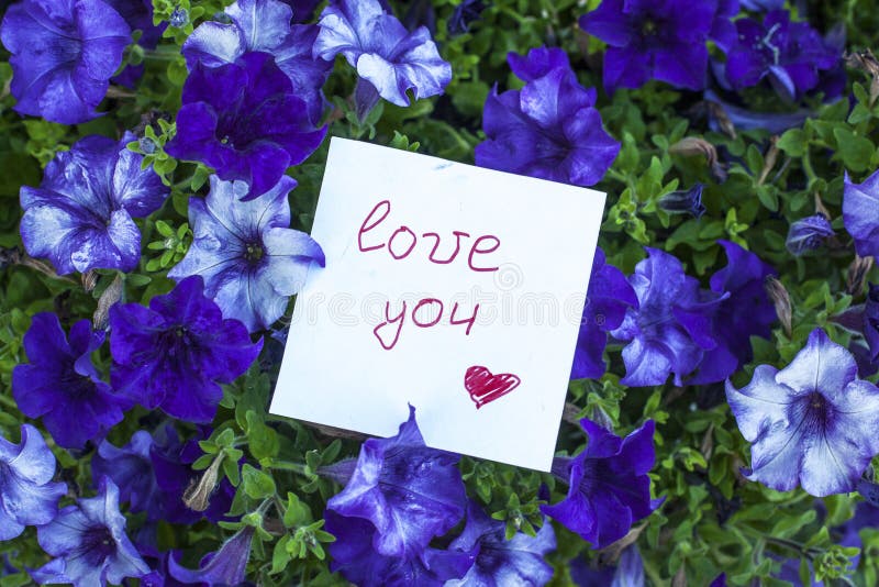 The note with text stock photo. Image of flowerbed, botany - 203412450